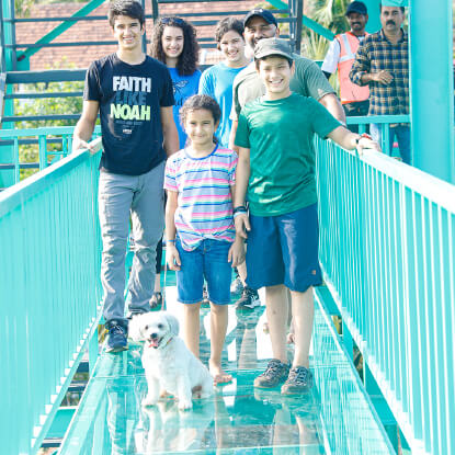 Surfing in Kerala | Glass Bridge in Cherai | Hanging Bridge Kochi ...